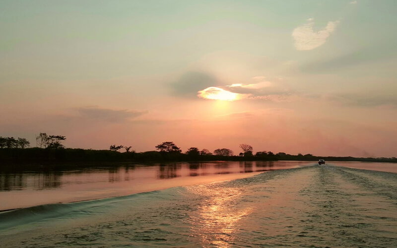 Finalista del Premio Otto de Greiff identificó 3 especies de sardinas ...